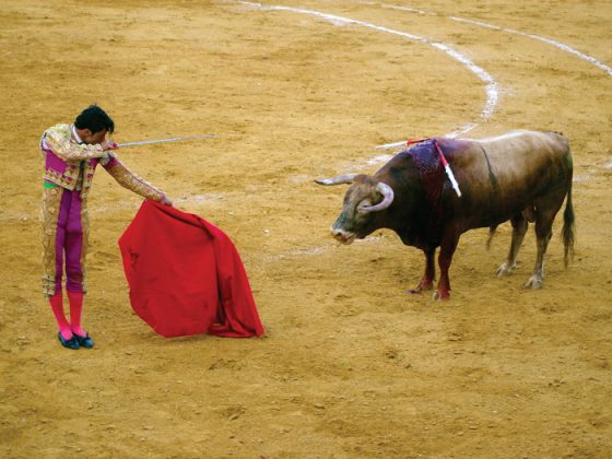 Metaphor for a Culture // The dance of the matador | Ami Magazine