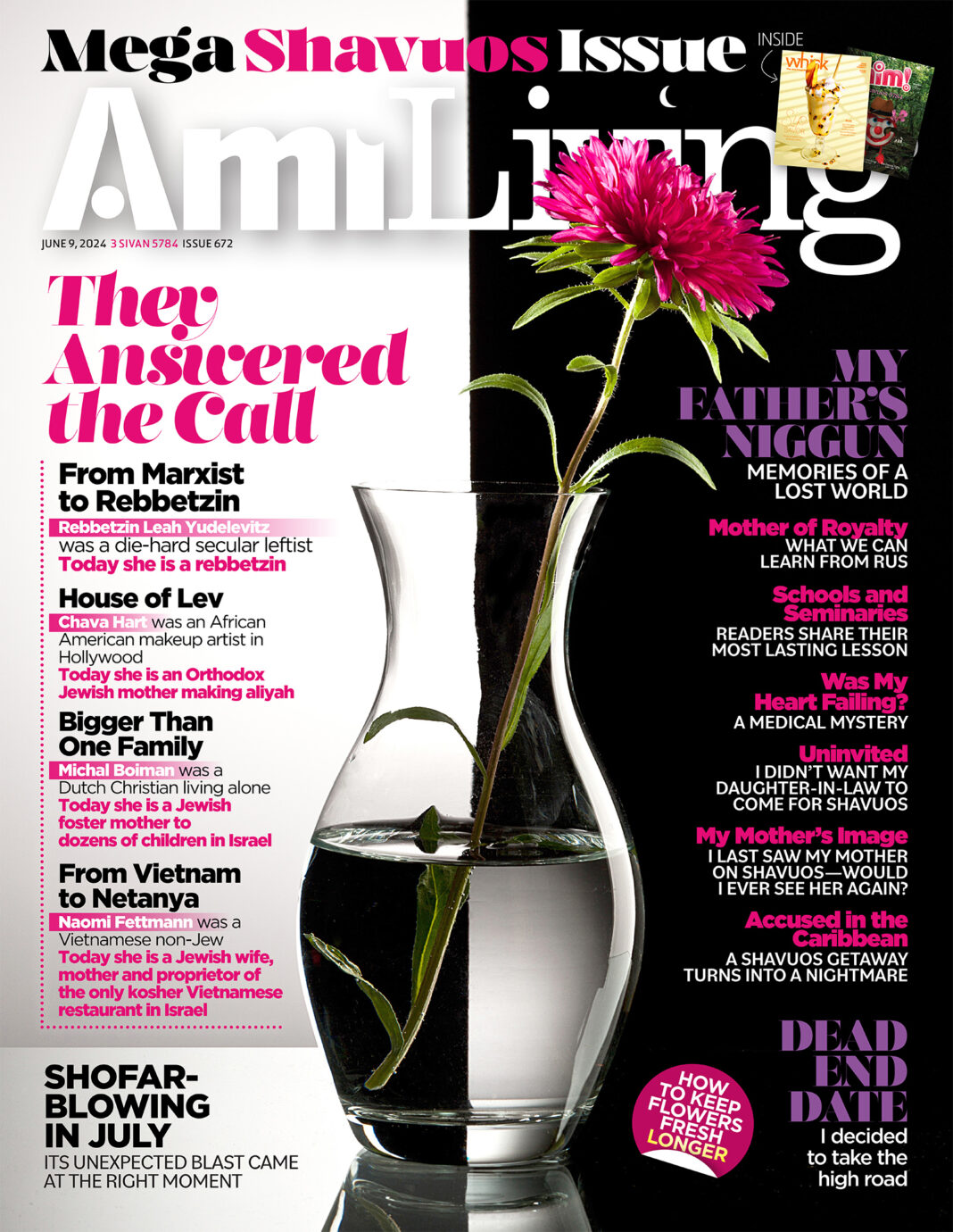 Ami Magazine | New Standard in Jewish Media
