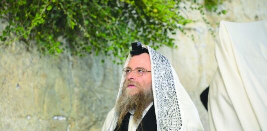 Recent Issue | Ami Magazine