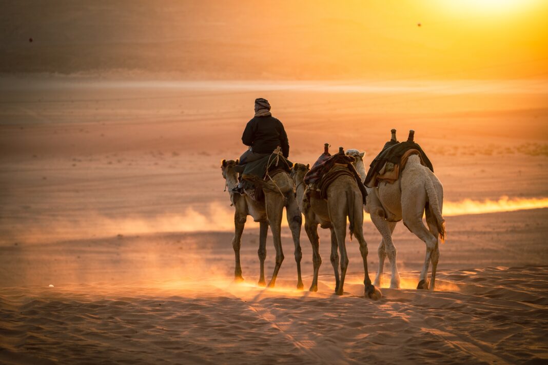 “My Daughter Chana has Come Home!” | Ami Magazine